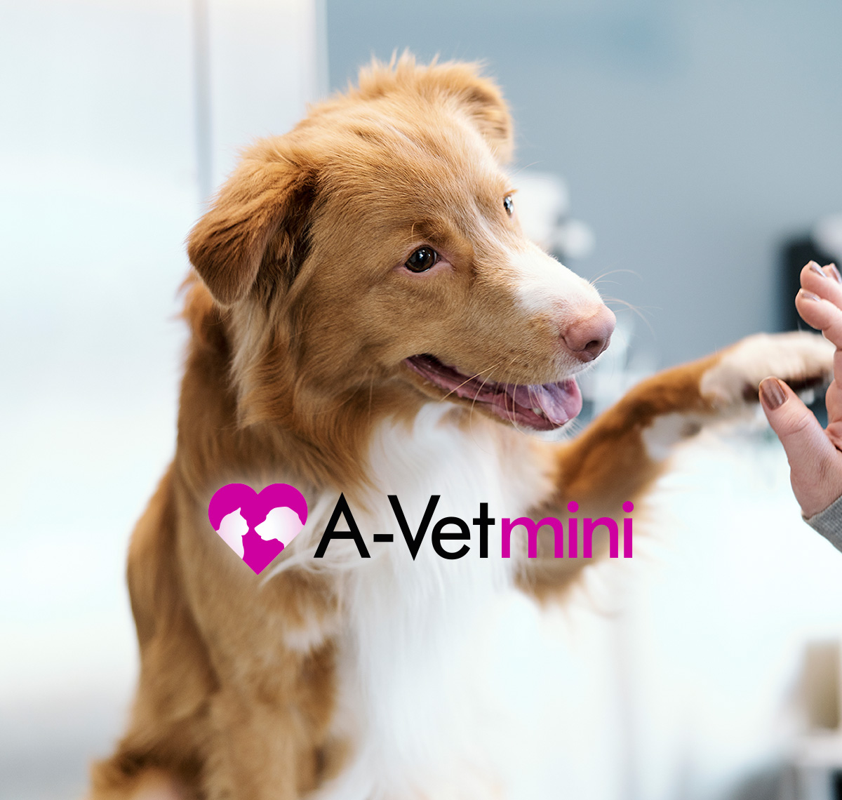 A-Vet Mini